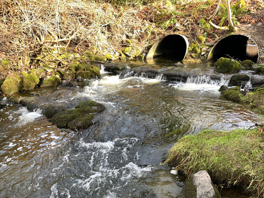 Fish Passage Program - HNTB